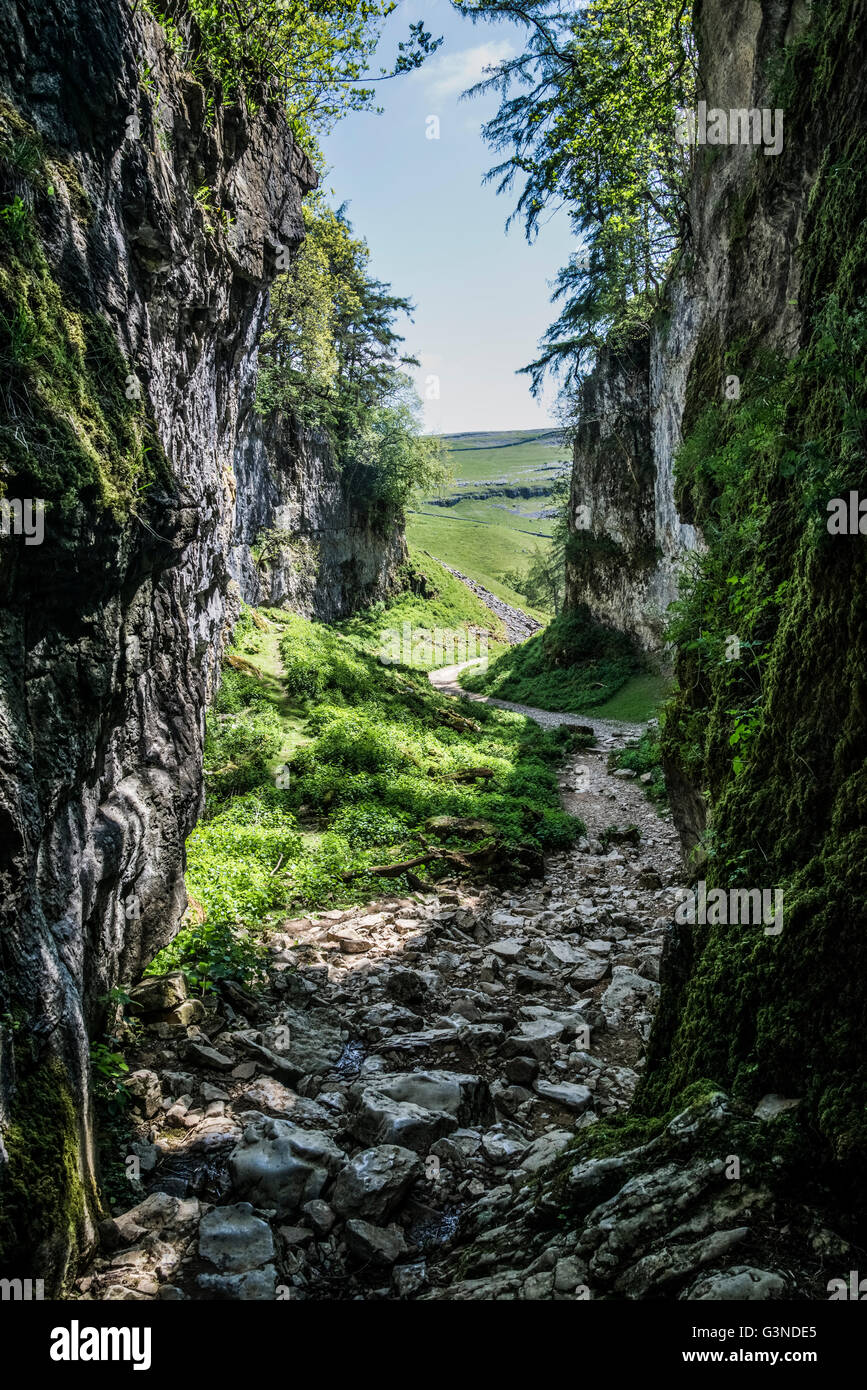Trow Gill limestone gorge near the village of Clapham in the North ...