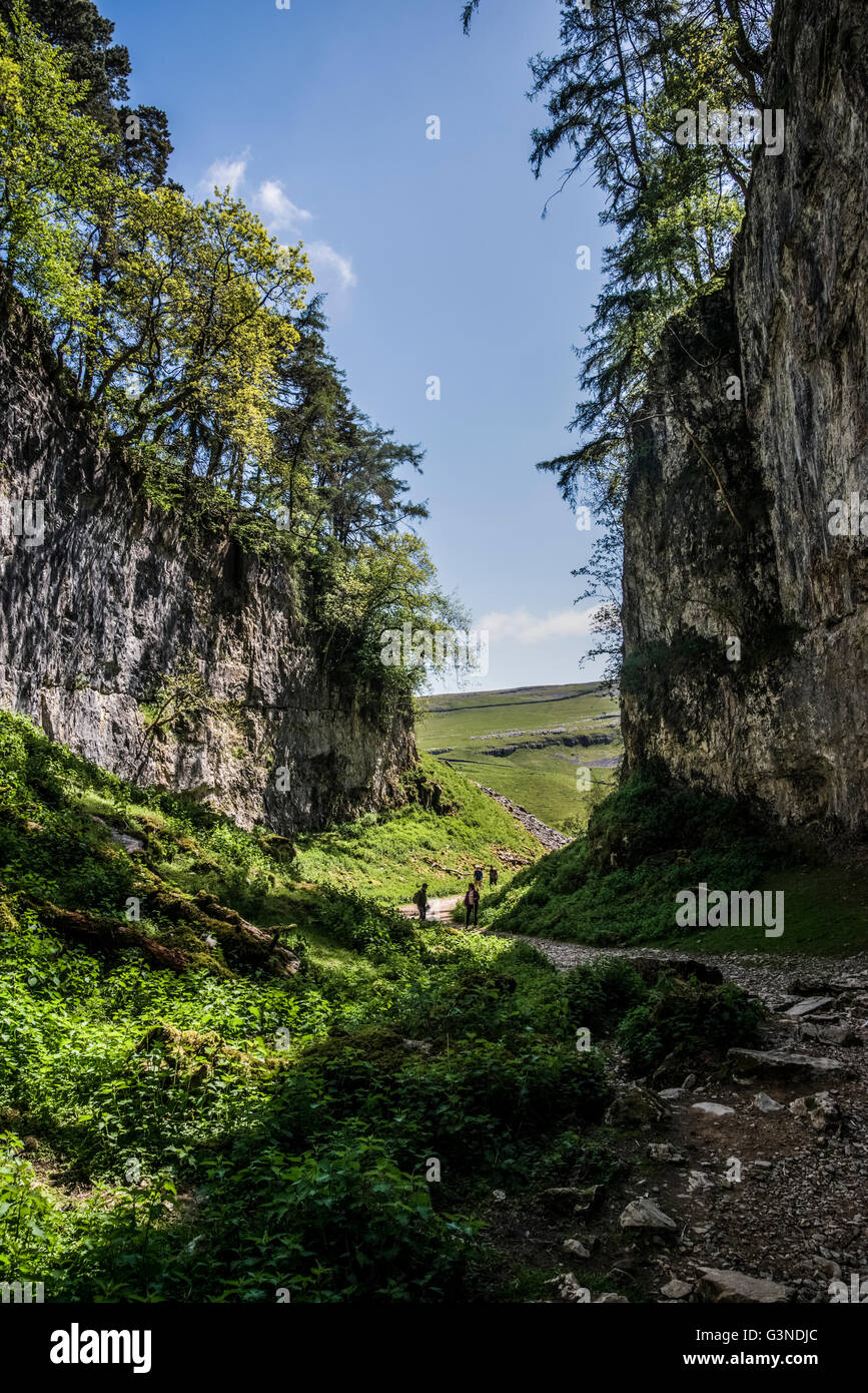 Trow Gill limestone gorge near the village of Clapham in the North ...