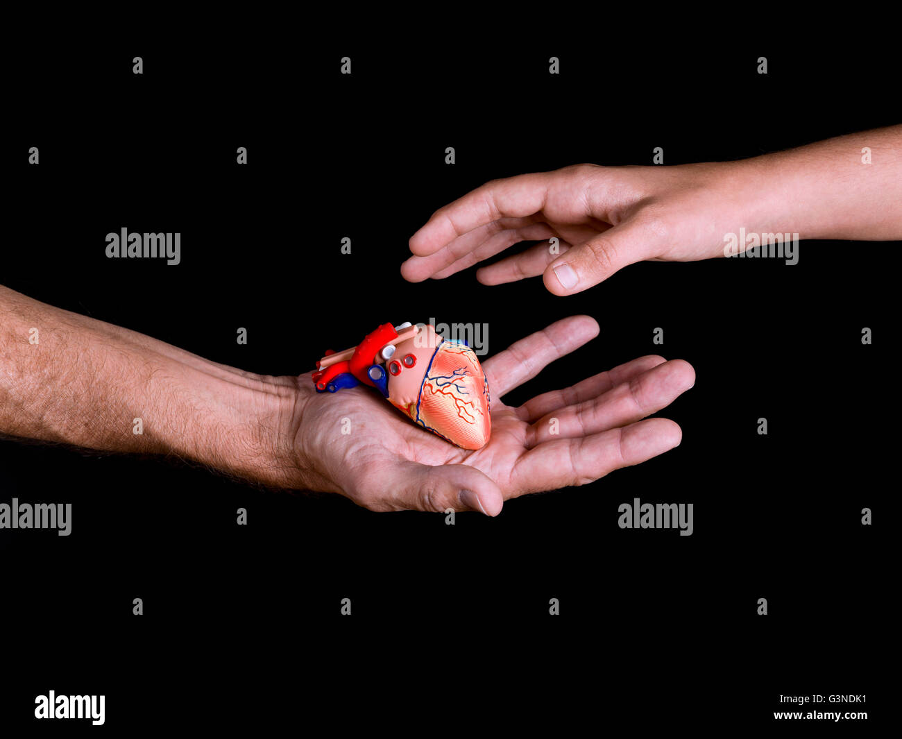Hand giving heart hi-res stock photography and images - Alamy