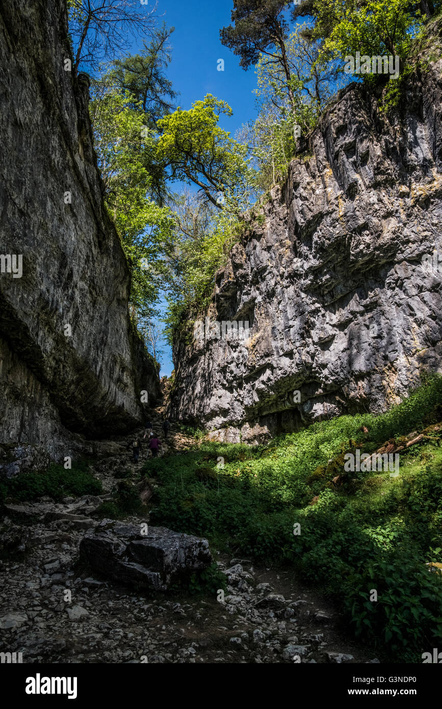 Trow Gill limestone gorge near the village of Clapham in the North ...