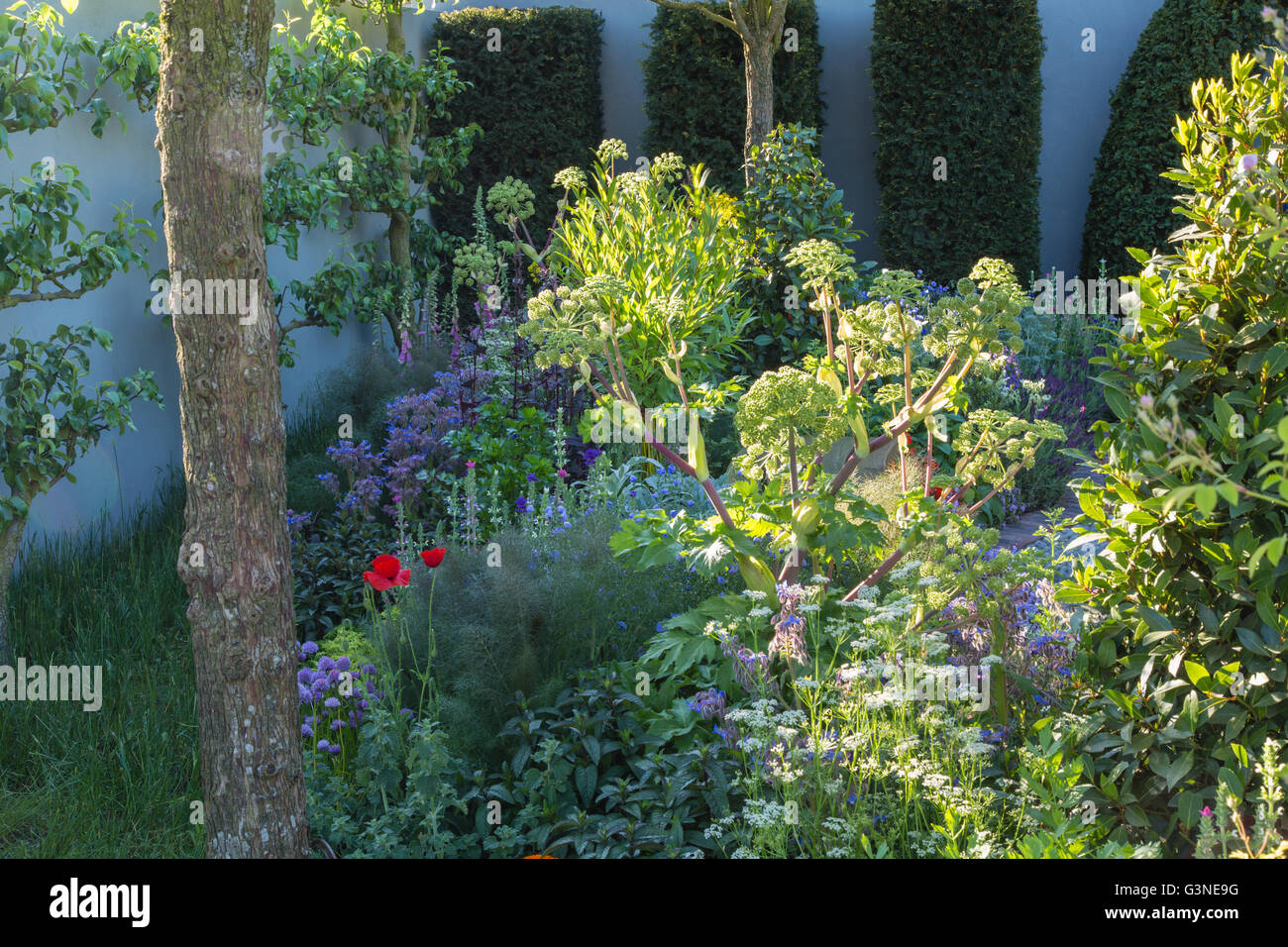 St John's Hospice, a Modern Apothecary - Jekka McVicar, designer Stock ...