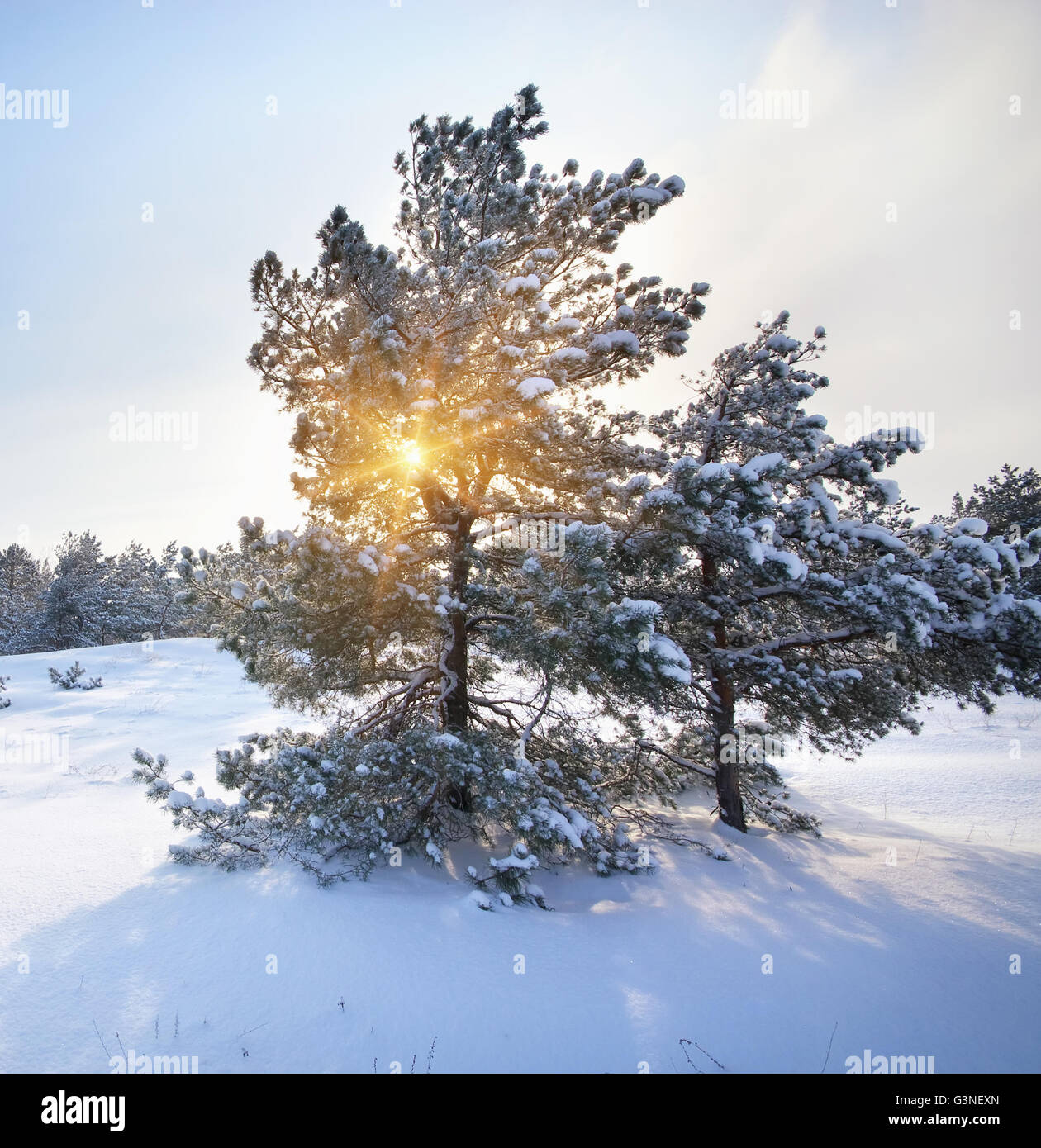 Winter landscape. Composition of nature Stock Photo - Alamy