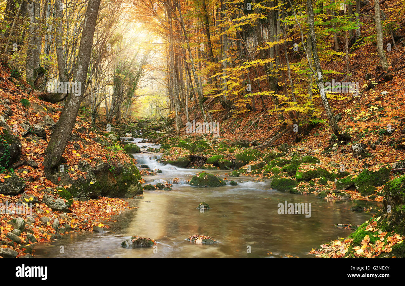 Park and nature hi-res stock photography and images - Alamy