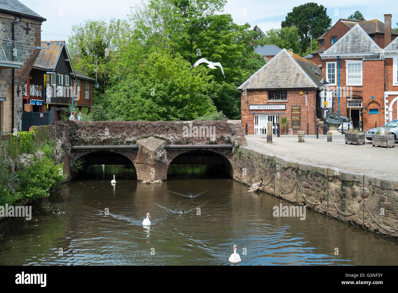 Exeter Capital city of Devon England UK Stock Photo - Alamy