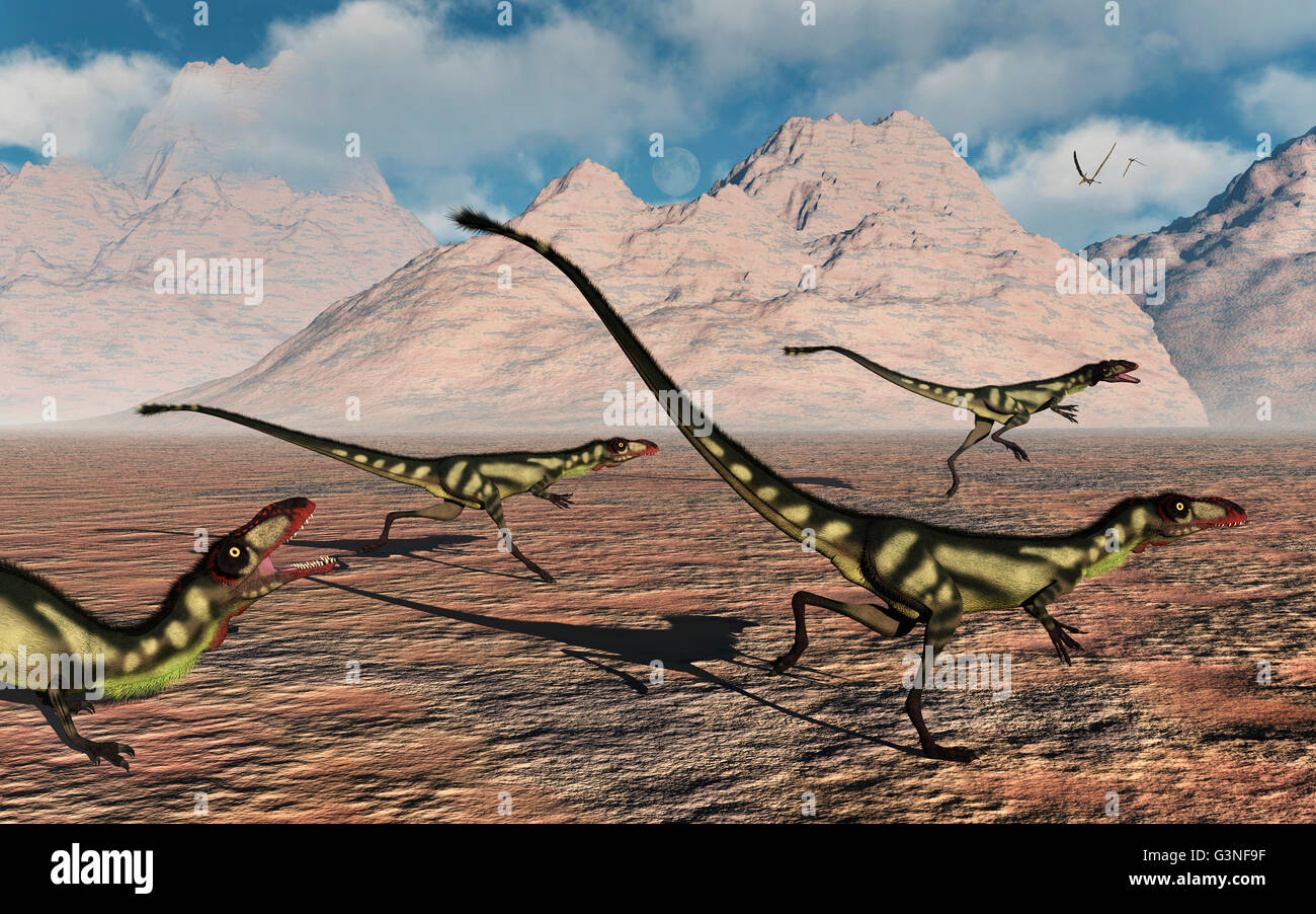 A Pack Of Dilong Dinosaurs Stock Photo - Alamy