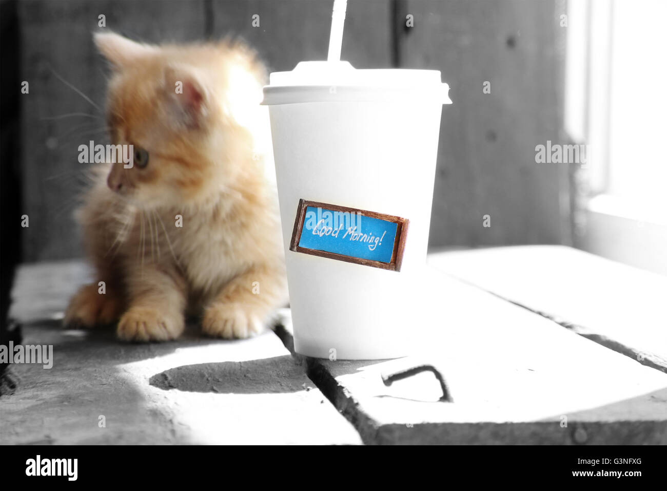 Good morning lettering cup hi-res stock photography and images - Alamy