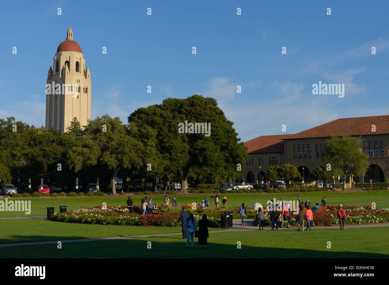 Stanford lawn hi-res stock photography and images - Alamy