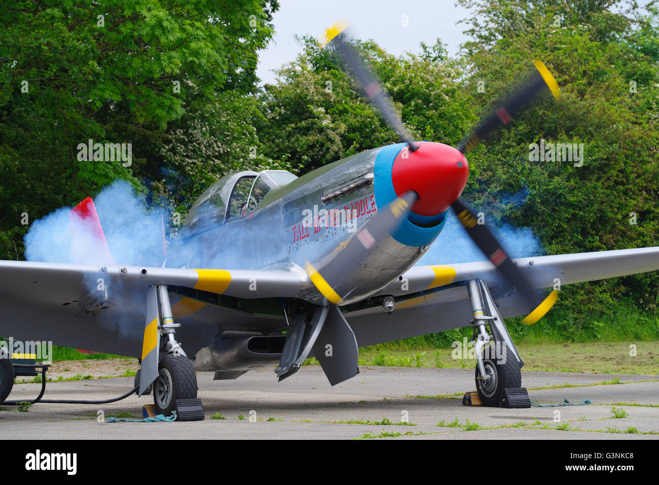 P-51D, Mustang, Red Tail, Tuskegee Airmen Stock Photo - Alamy