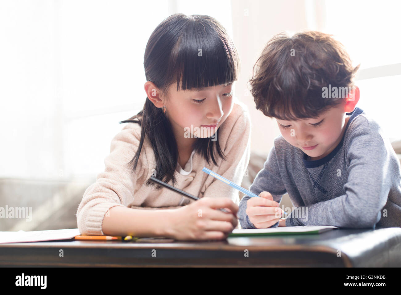Happy siblings studying together at home Stock Photo - Alamy