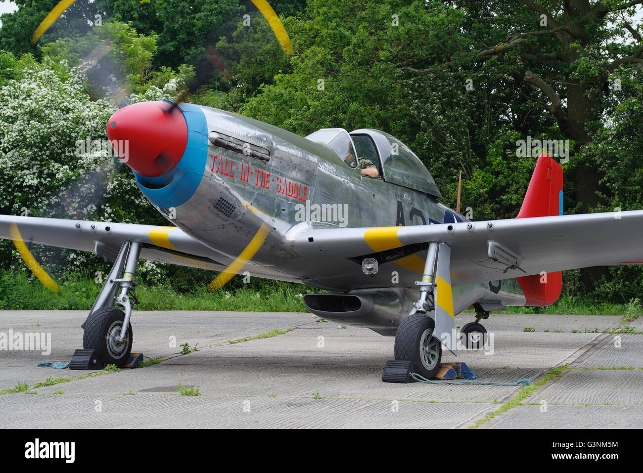 P 51d mustang tall in the saddle hi-res stock photography and images ...