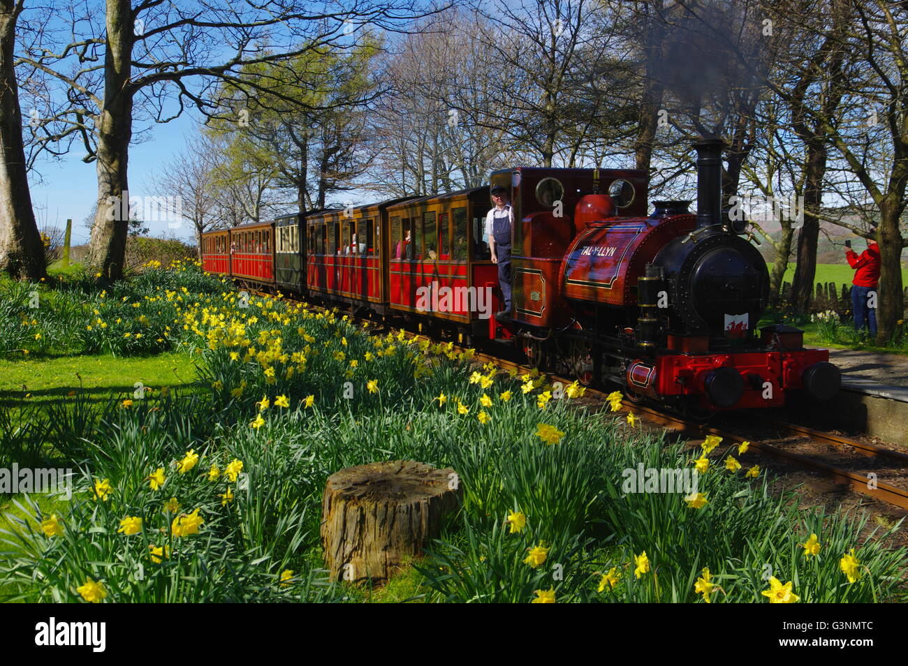 Narrow gauge talyllyn railway railway hi-res stock photography and ...
