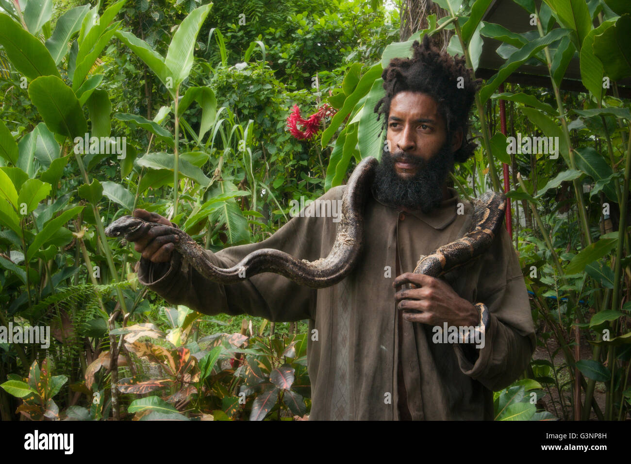 Man in dreadlocks holding his pet Boa Constrictor snake, Wotten Waven ...