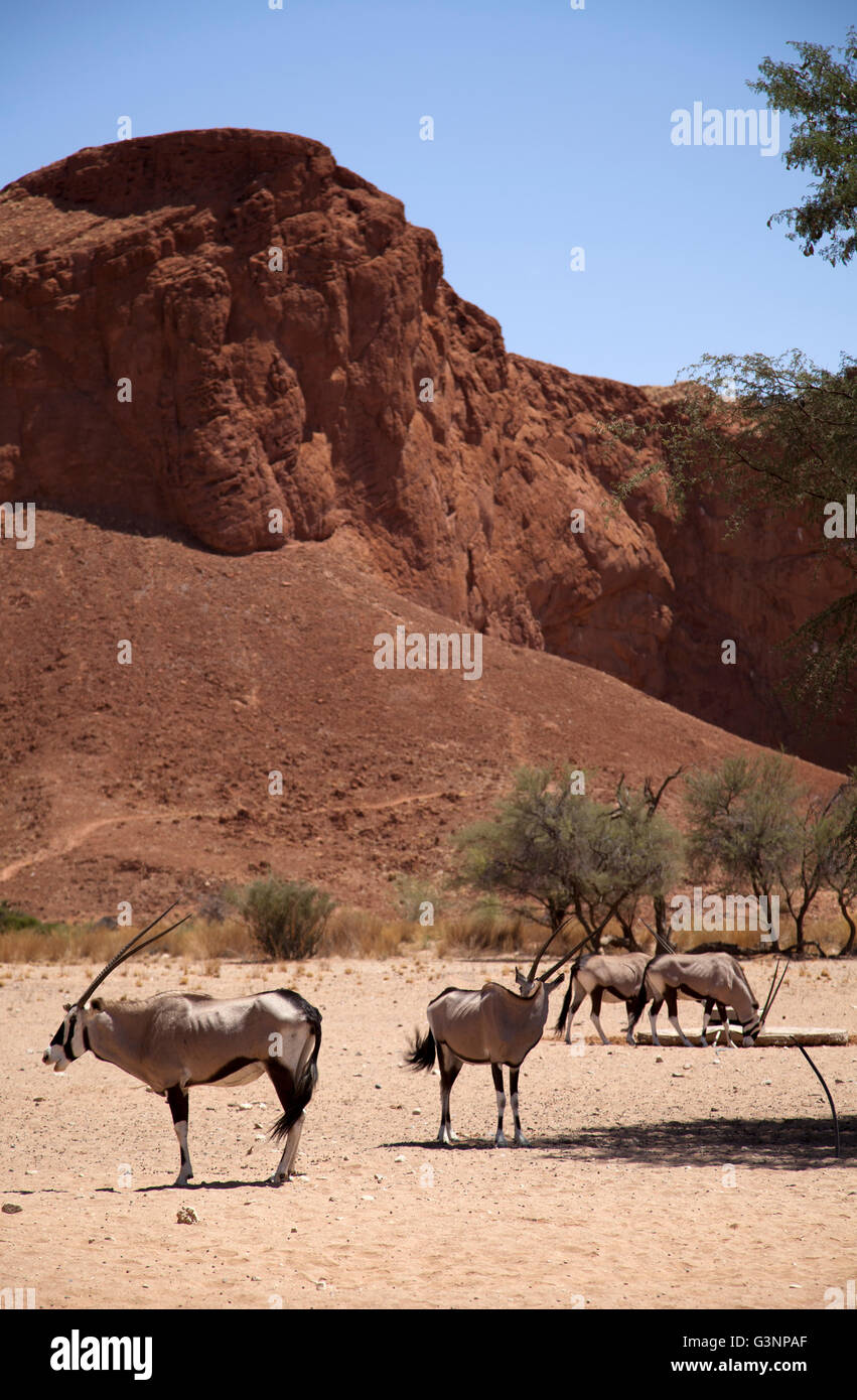 Buck lodge hi-res stock photography and images - Alamy