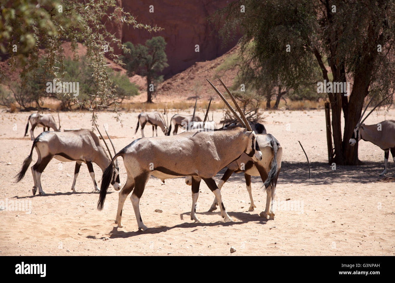 Buck lodge hi-res stock photography and images - Alamy
