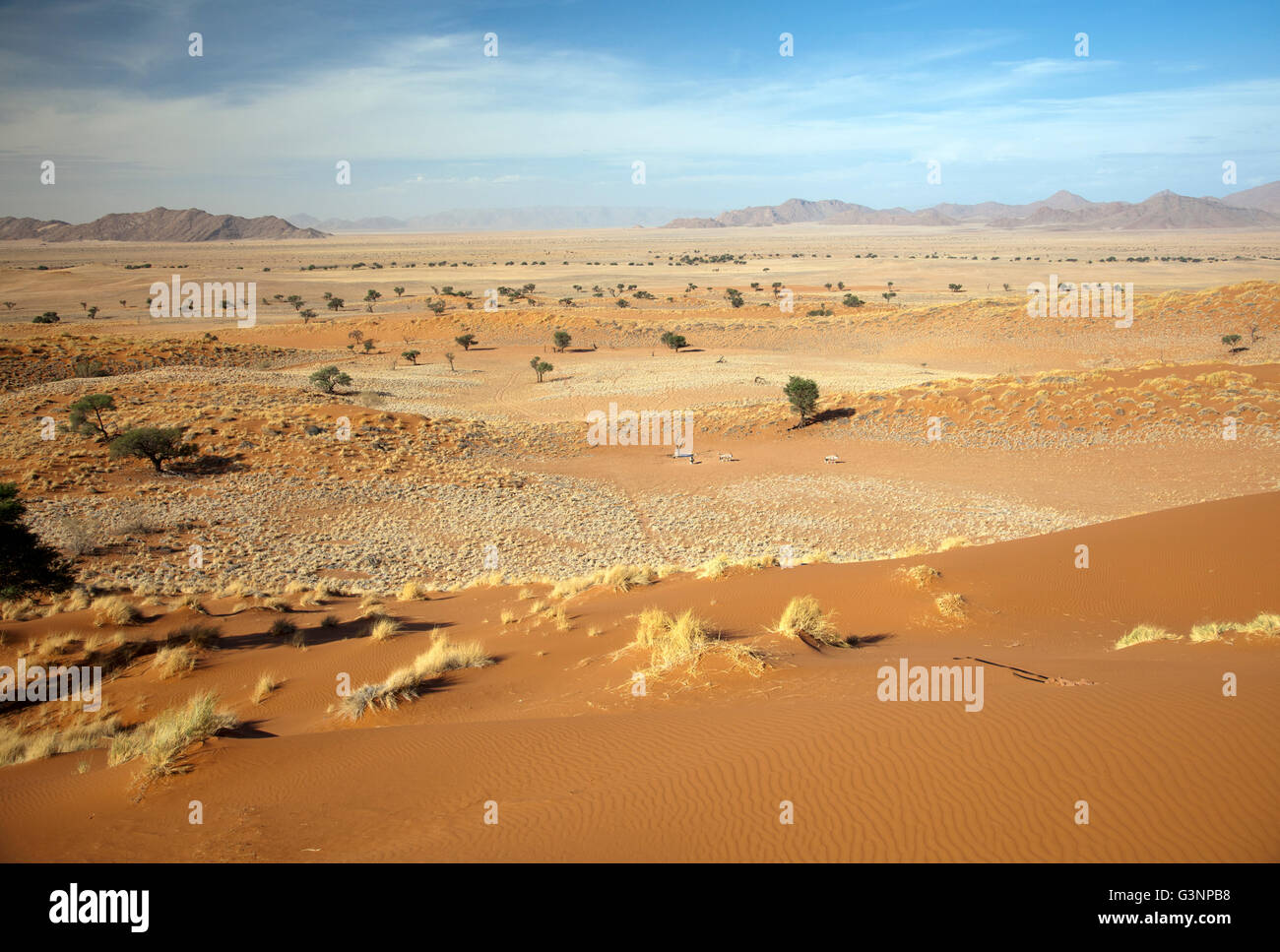 Namib Desert Star Dune Camp Views in Namibia Stock Photo - Alamy