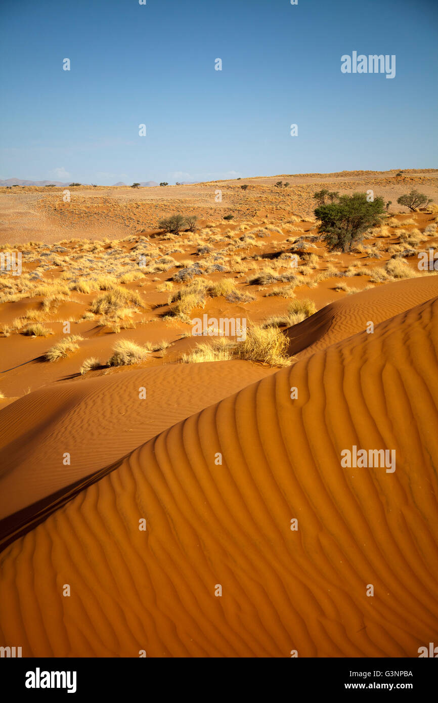 Namib desert star dune camp hi-res stock photography and images - Alamy