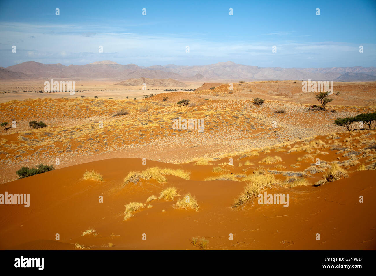 Namib Desert Star Dune Camp Views in Namibia Stock Photo - Alamy