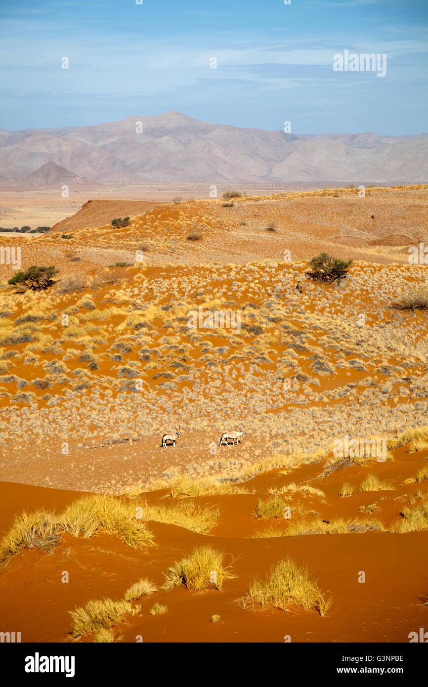 Namib Desert Star Dune Camp Views in Namibia Stock Photo - Alamy