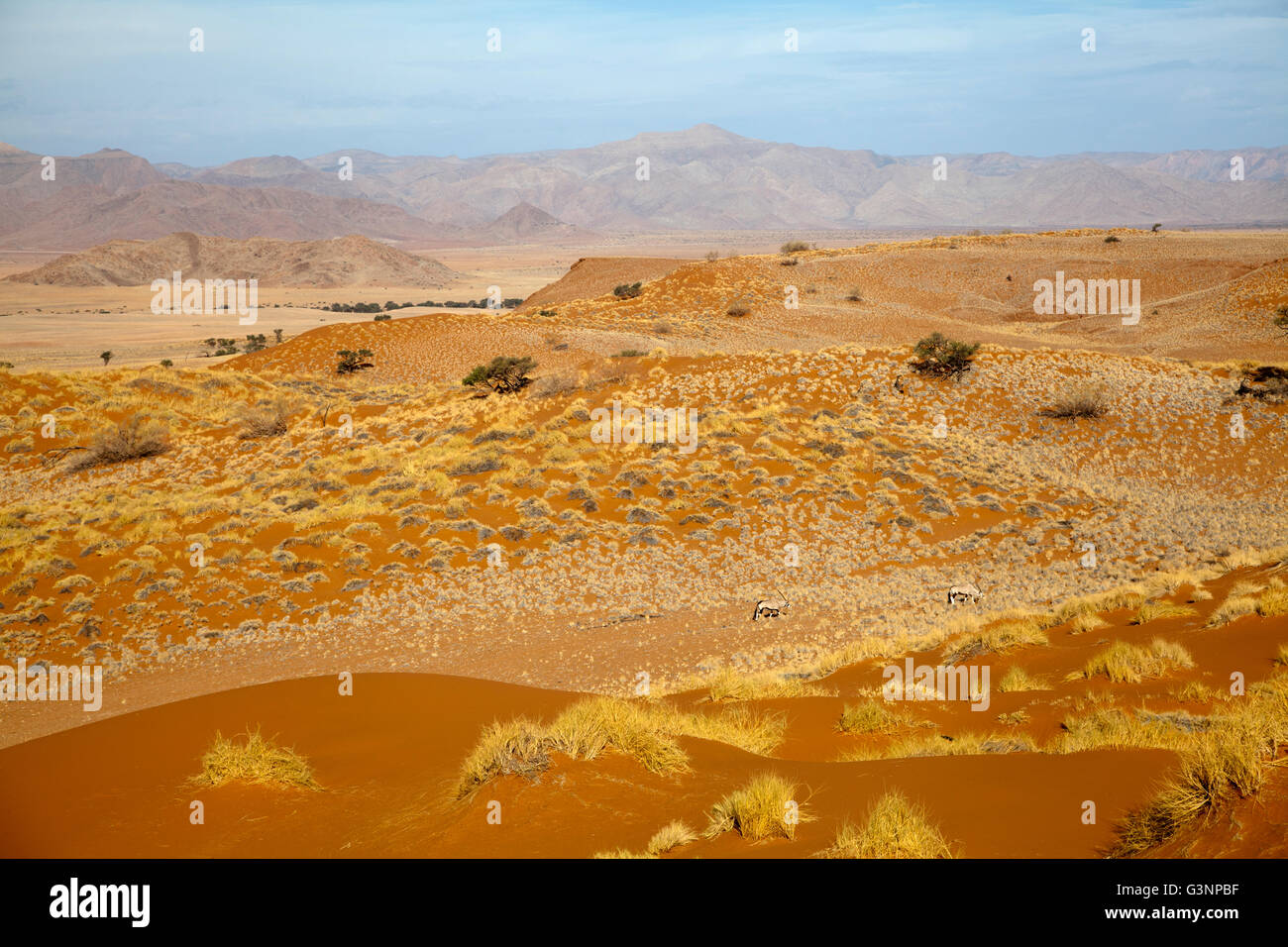 Namib Desert Star Dune Camp Views in Namibia Stock Photo - Alamy