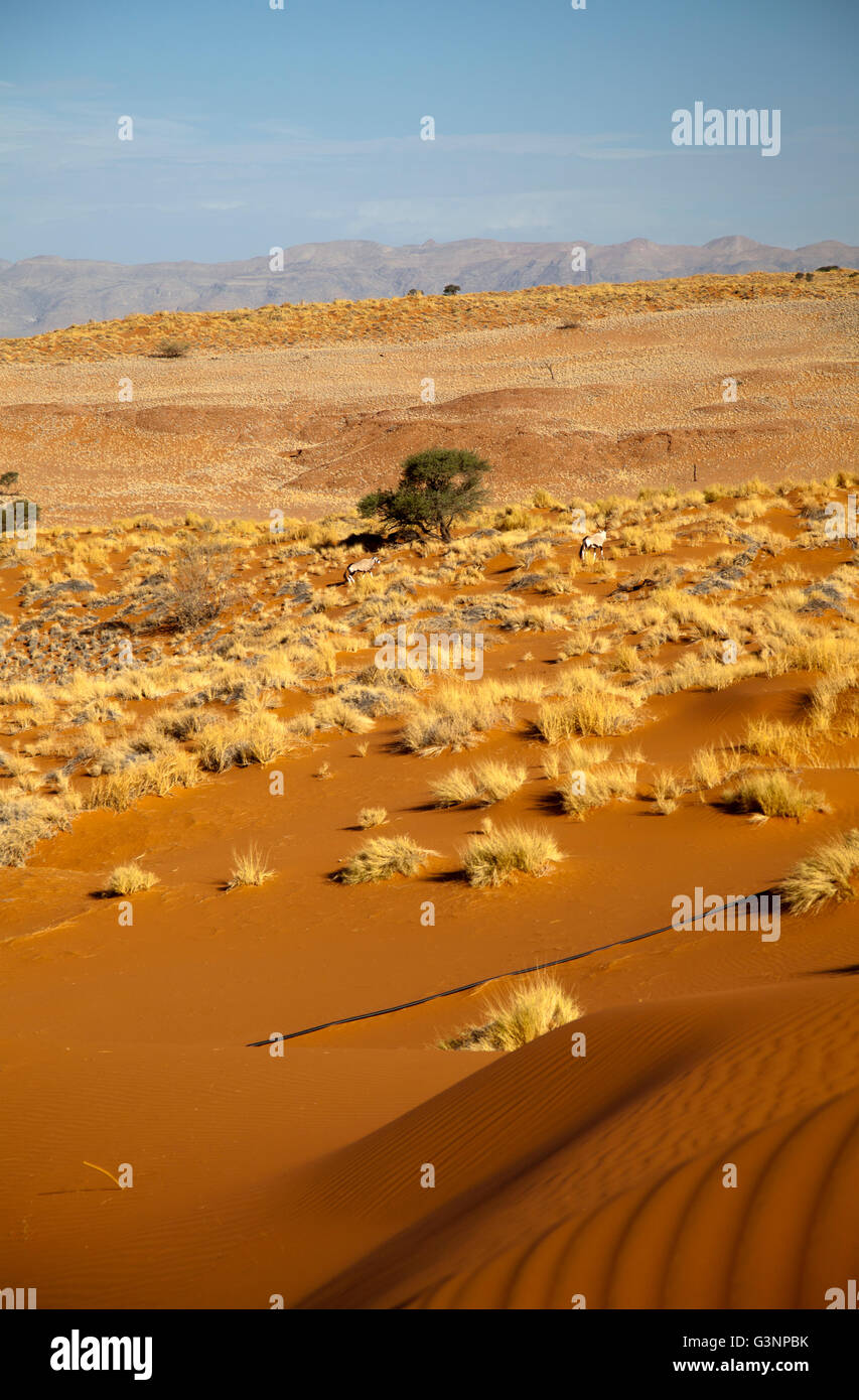 Namib Desert Star Dune Camp Views in Namibia Stock Photo - Alamy