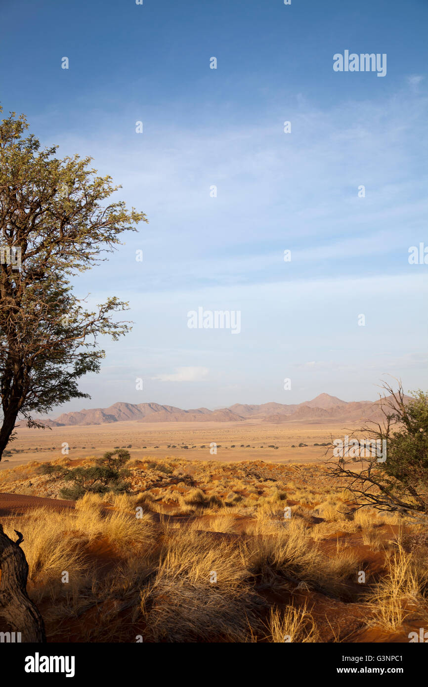 Dune star camp hi-res stock photography and images - Alamy