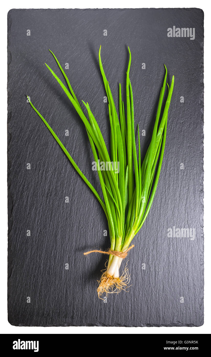 beautiful bunch fresh green spring onion stalks and roots tied twine on ...