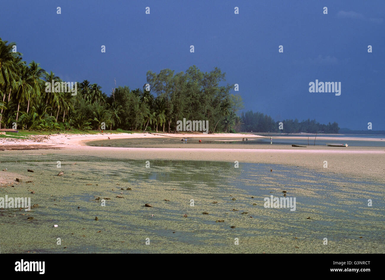 Low tide at Nathon beach, Ko Samui Island, Thailand, Asia Stock Photo ...
