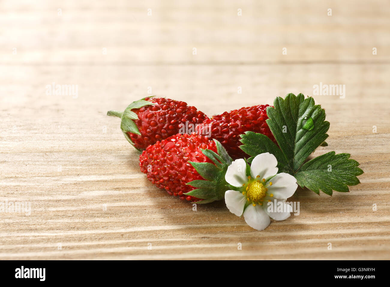 Fraise de bois hi-res stock photography and images - Alamy