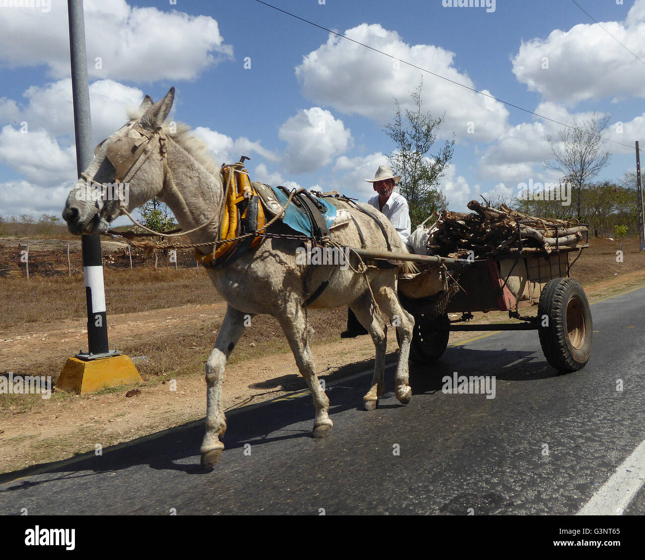 Donkey transport hi-res stock photography and images - Alamy
