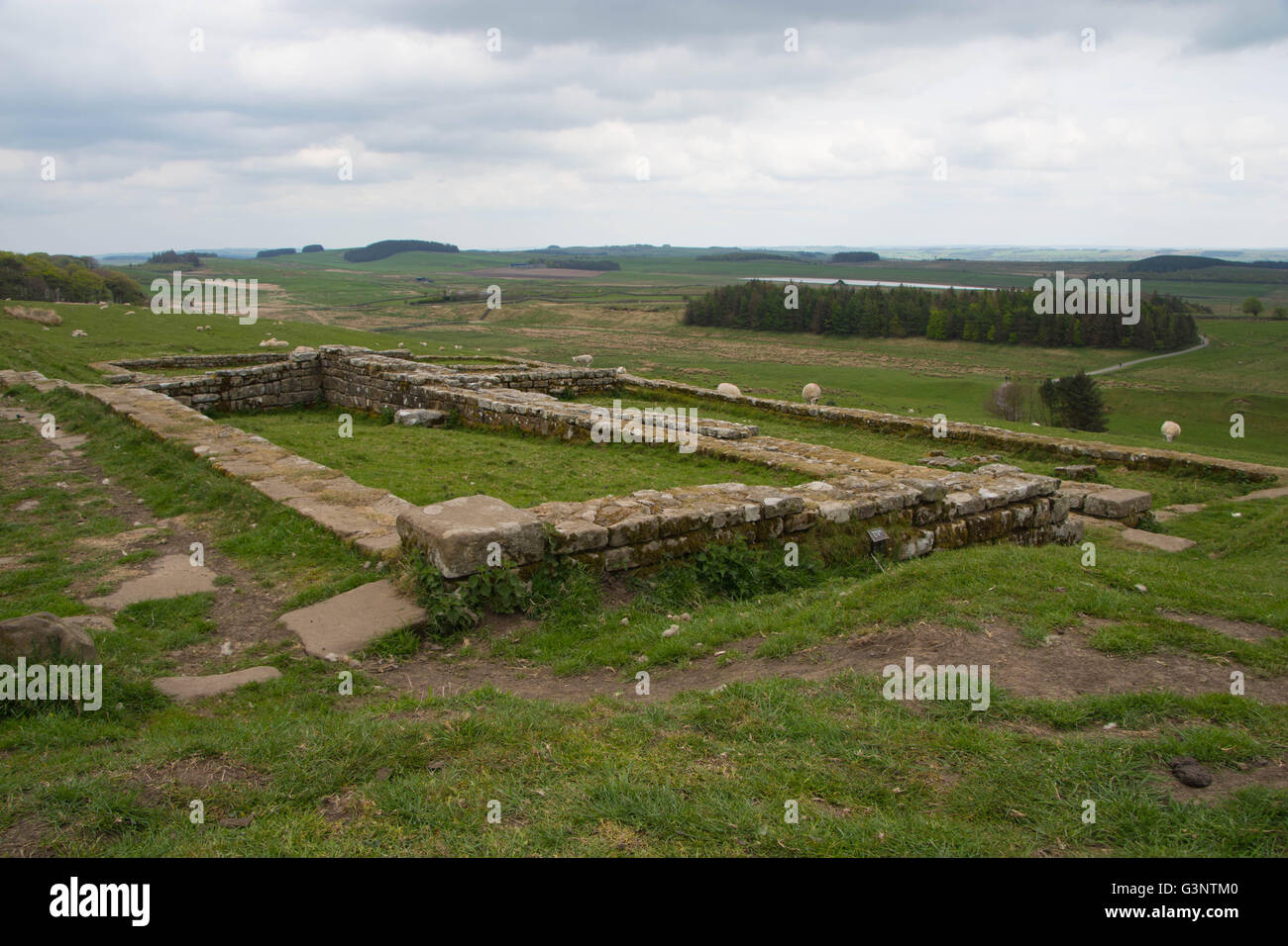 Housesteads Roman Fort at Hadrian's Wall, Northumberland, England, UK ...