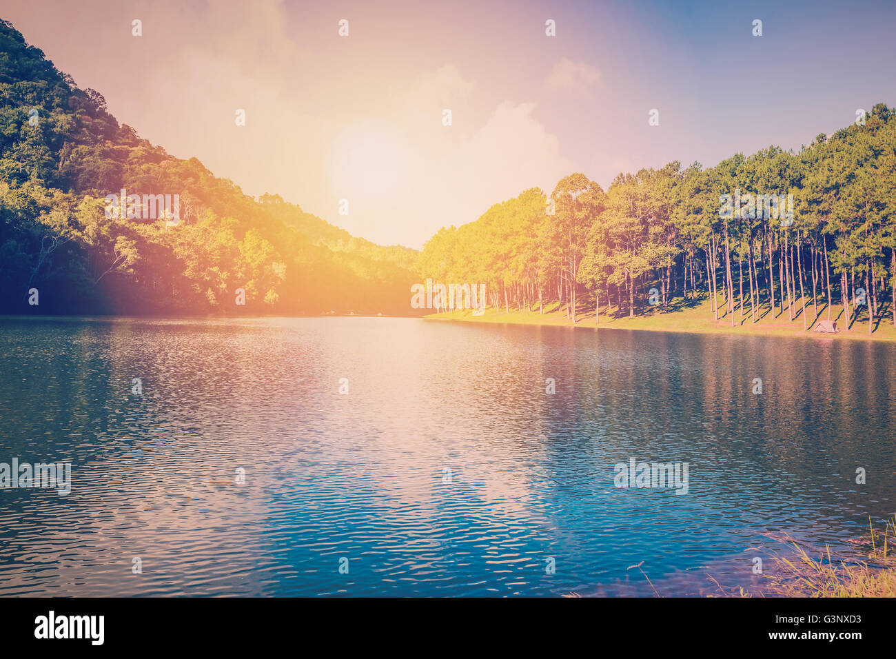 Pond with sunrise hi-res stock photography and images - Alamy