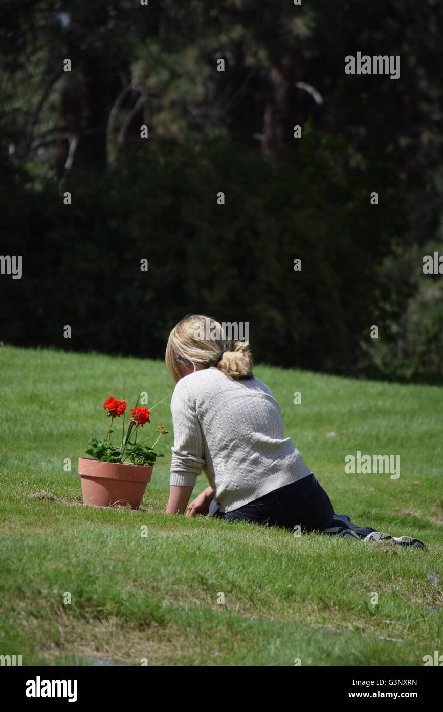 Woman at cemetery on Memorial Day Stock Photo - Alamy