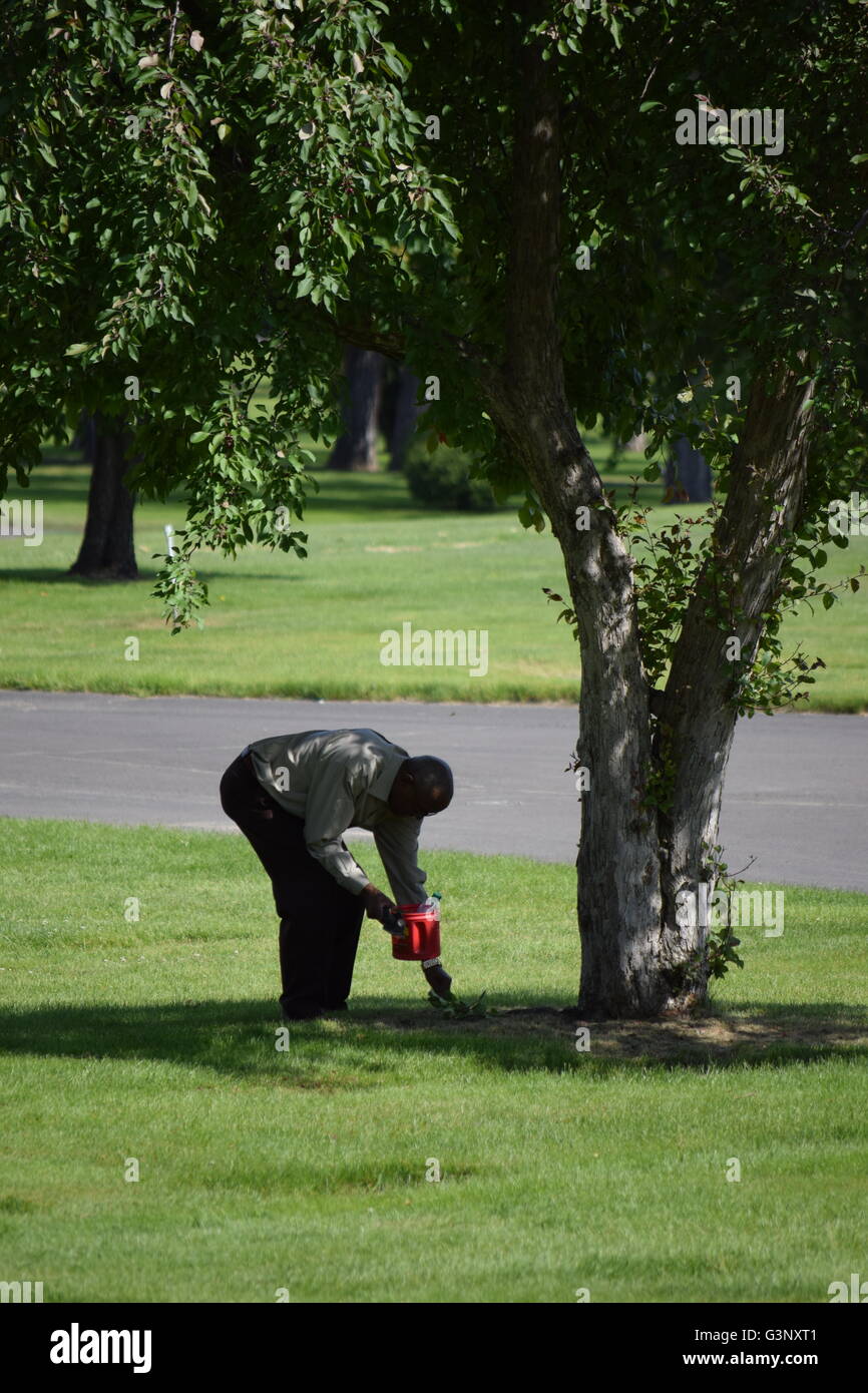 Memorial day honoring hi-res stock photography and images - Alamy
