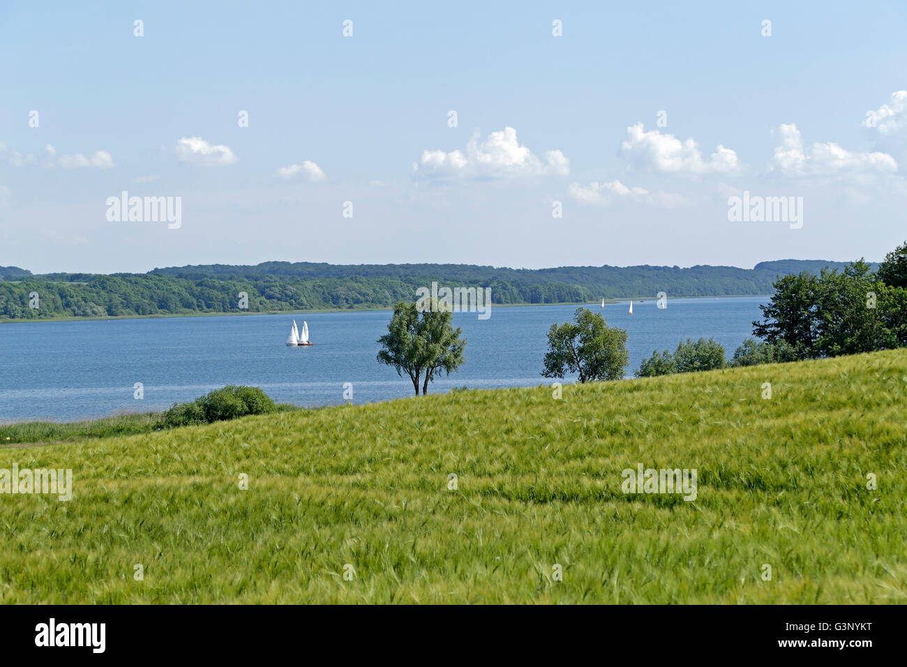 Lake Ratzeburg, Gross Sarau, Schleswig-Holstein, Germany Stock Photo ...