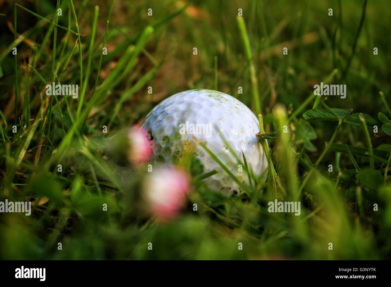 Golf ball shot close up hi-res stock photography and images - Alamy
