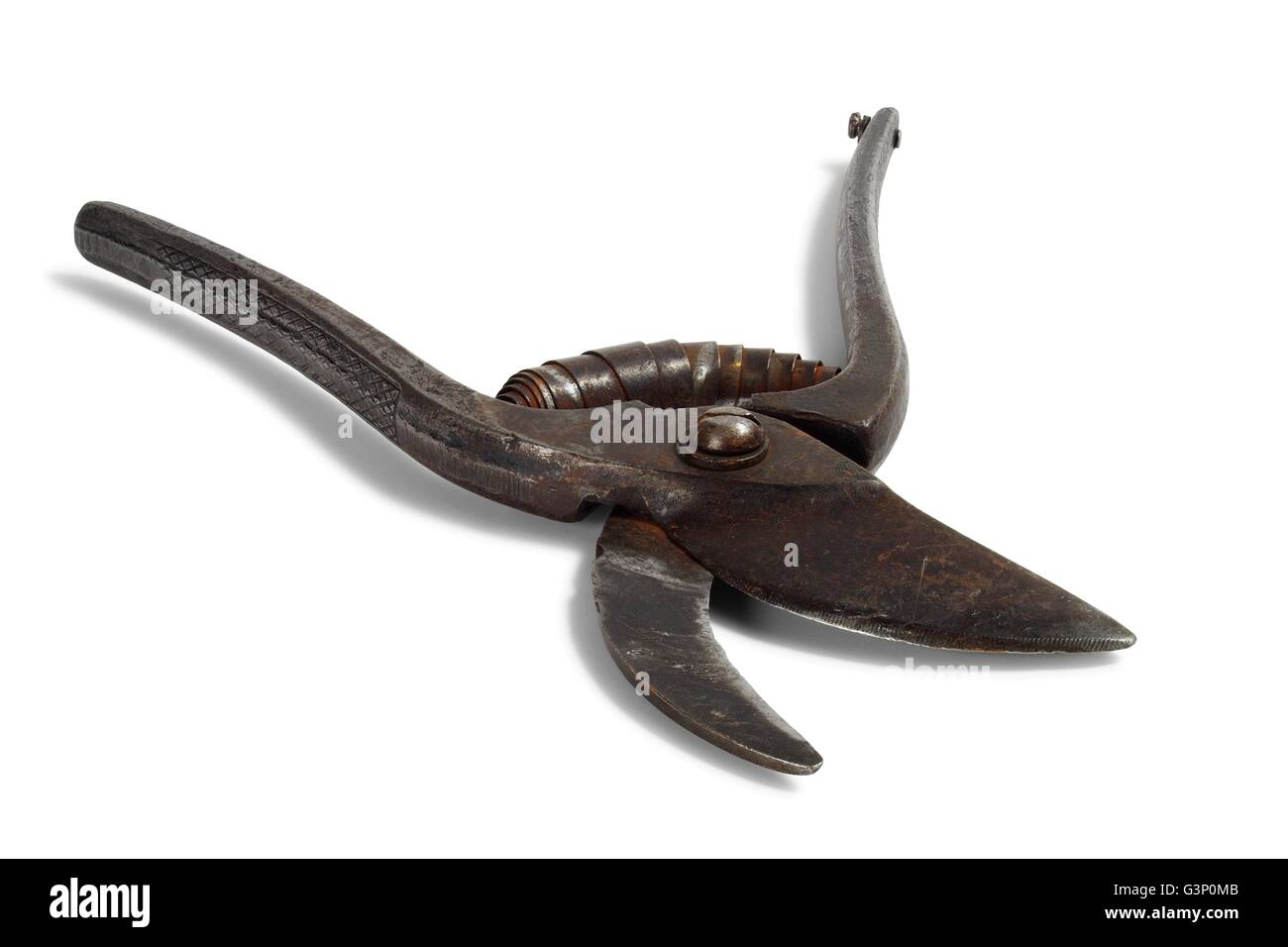 Old rusty pruning shears Stock Photo - Alamy
