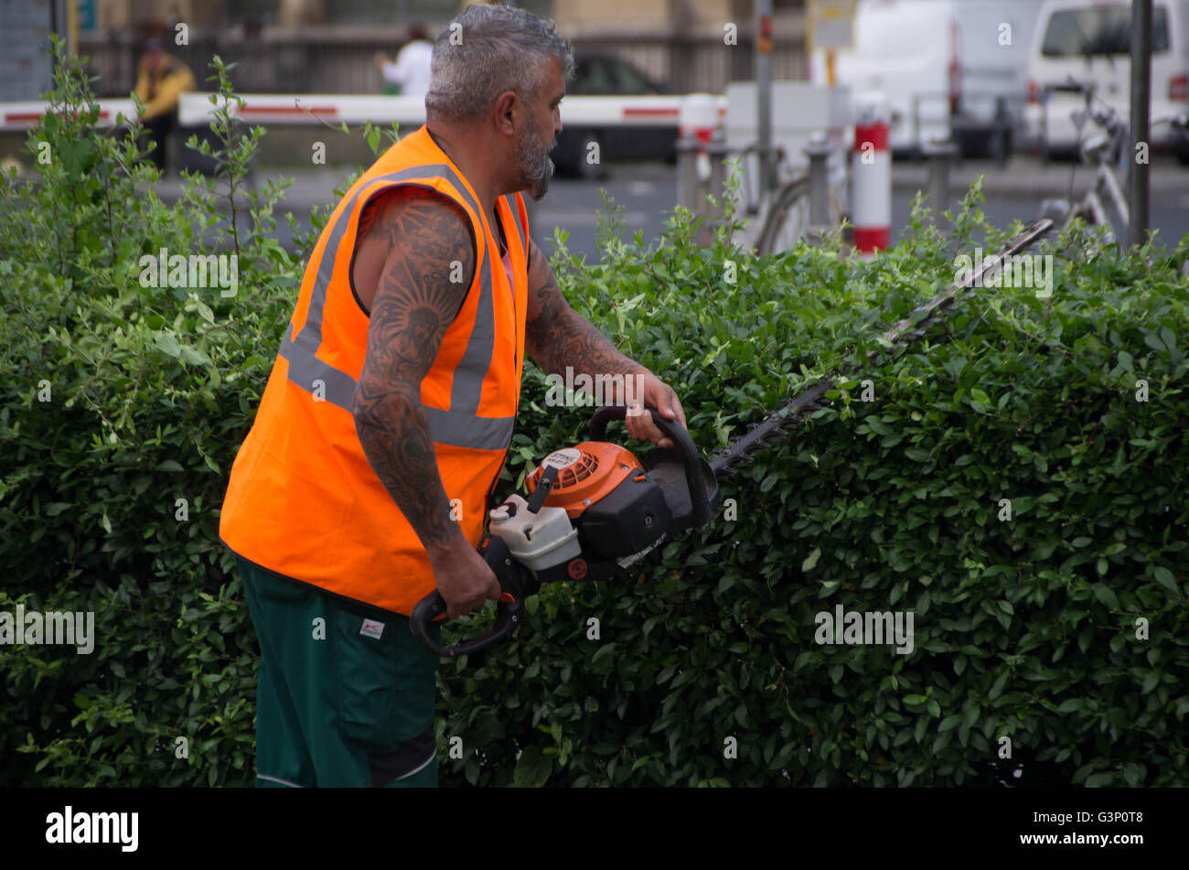 A gardener at work, cropping plants Stock Photo - Alamy