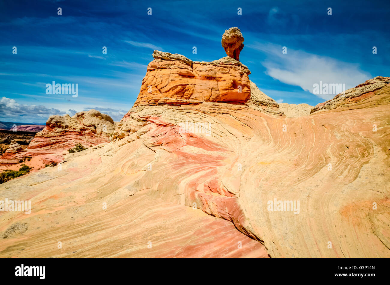 White pocket arizona hi-res stock photography and images - Alamy