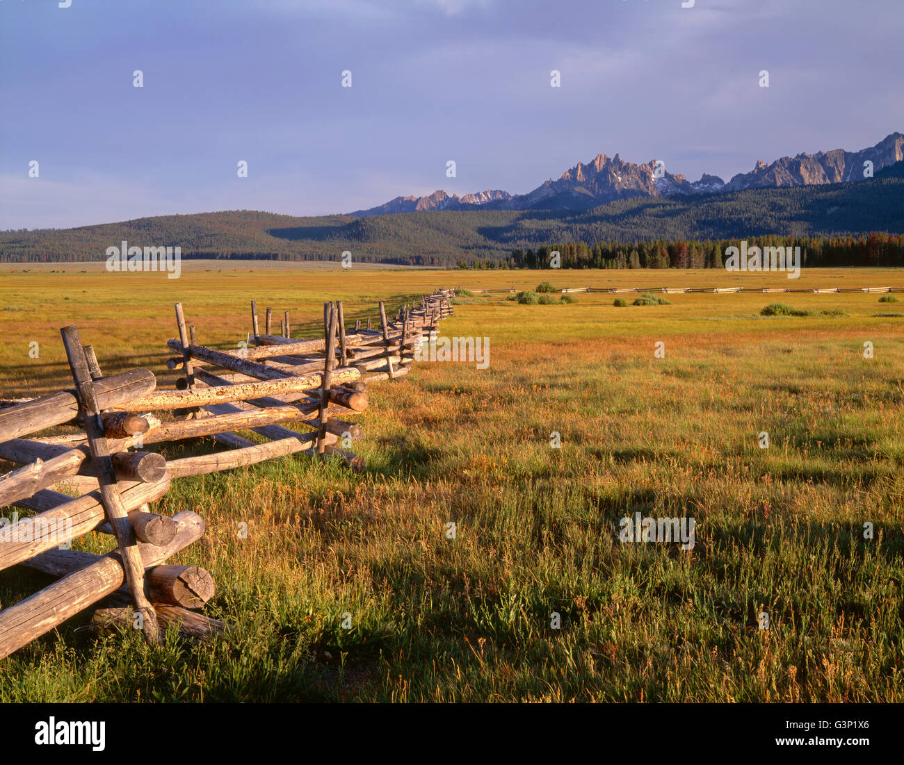 USA, Idaho, Sawtooth National Recreation Area, Weathered fence crosses ...