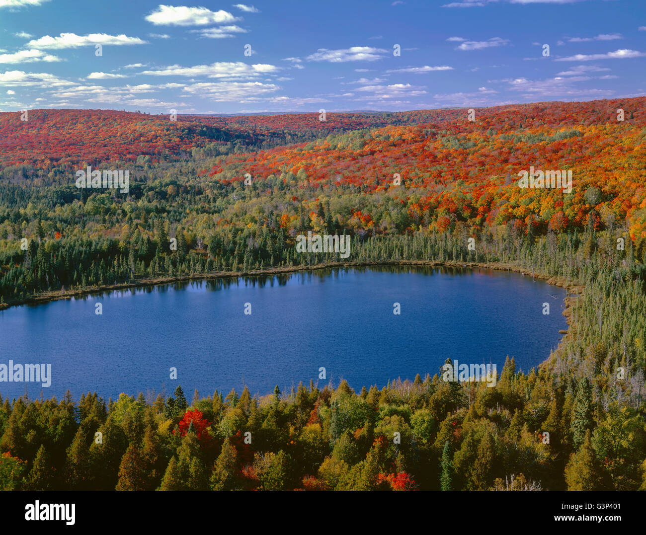 USA, Minnesota, Superior National Forest, Fall colored northern ...