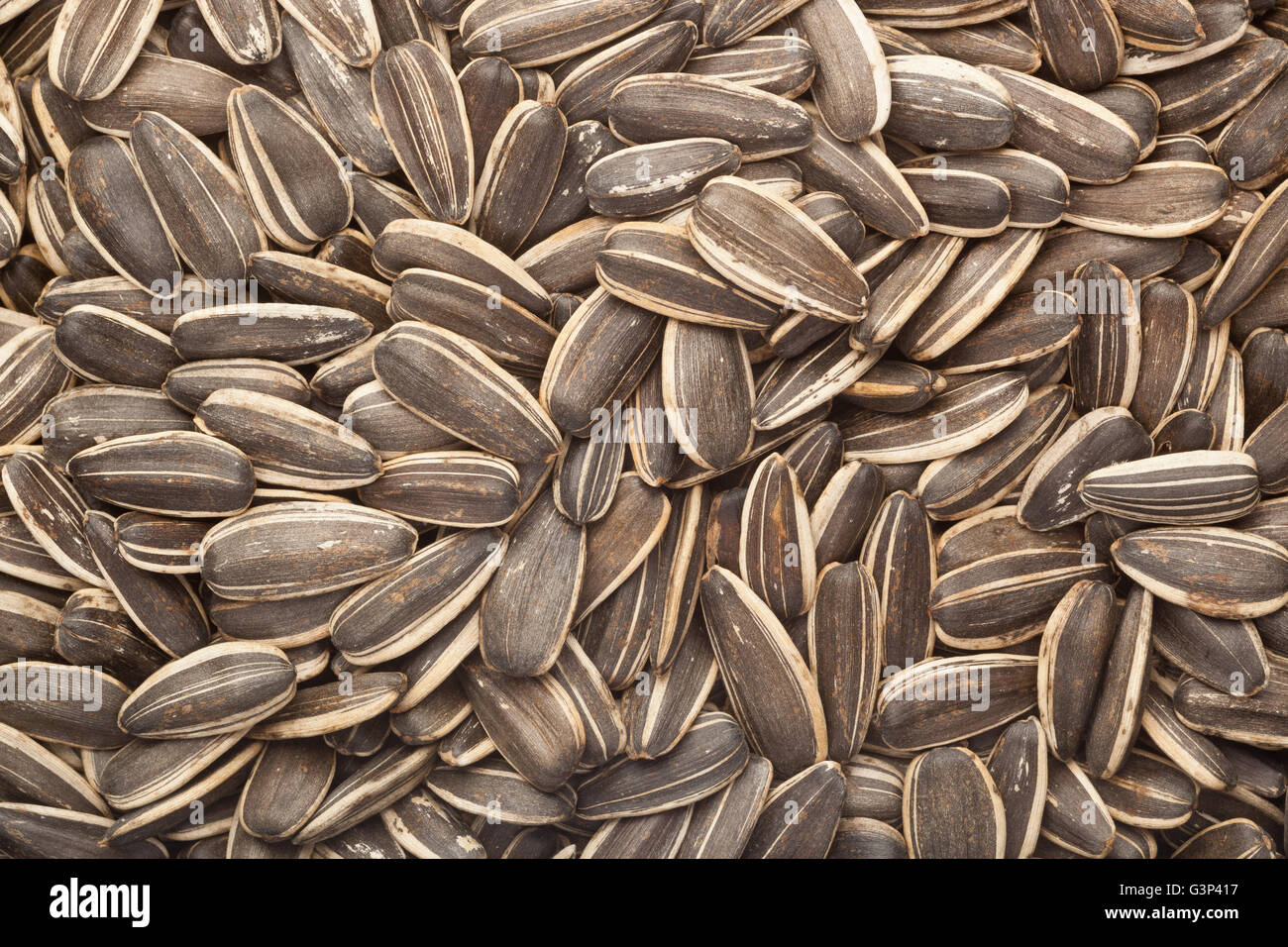 Watering seeds closeup hi-res stock photography and images - Alamy