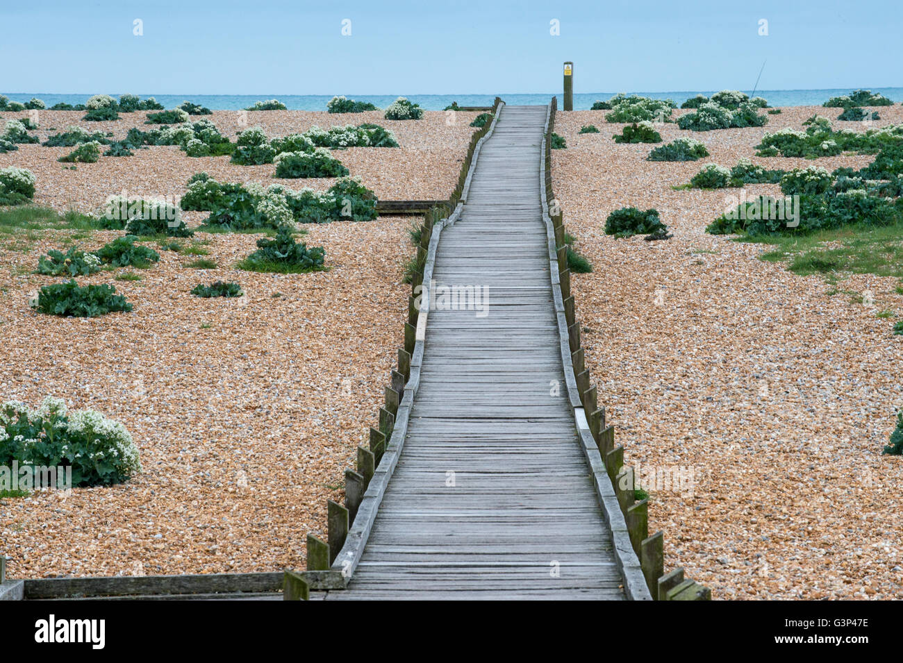Dungeness in Kent an area of outstanding beauty location of a nuclear ...