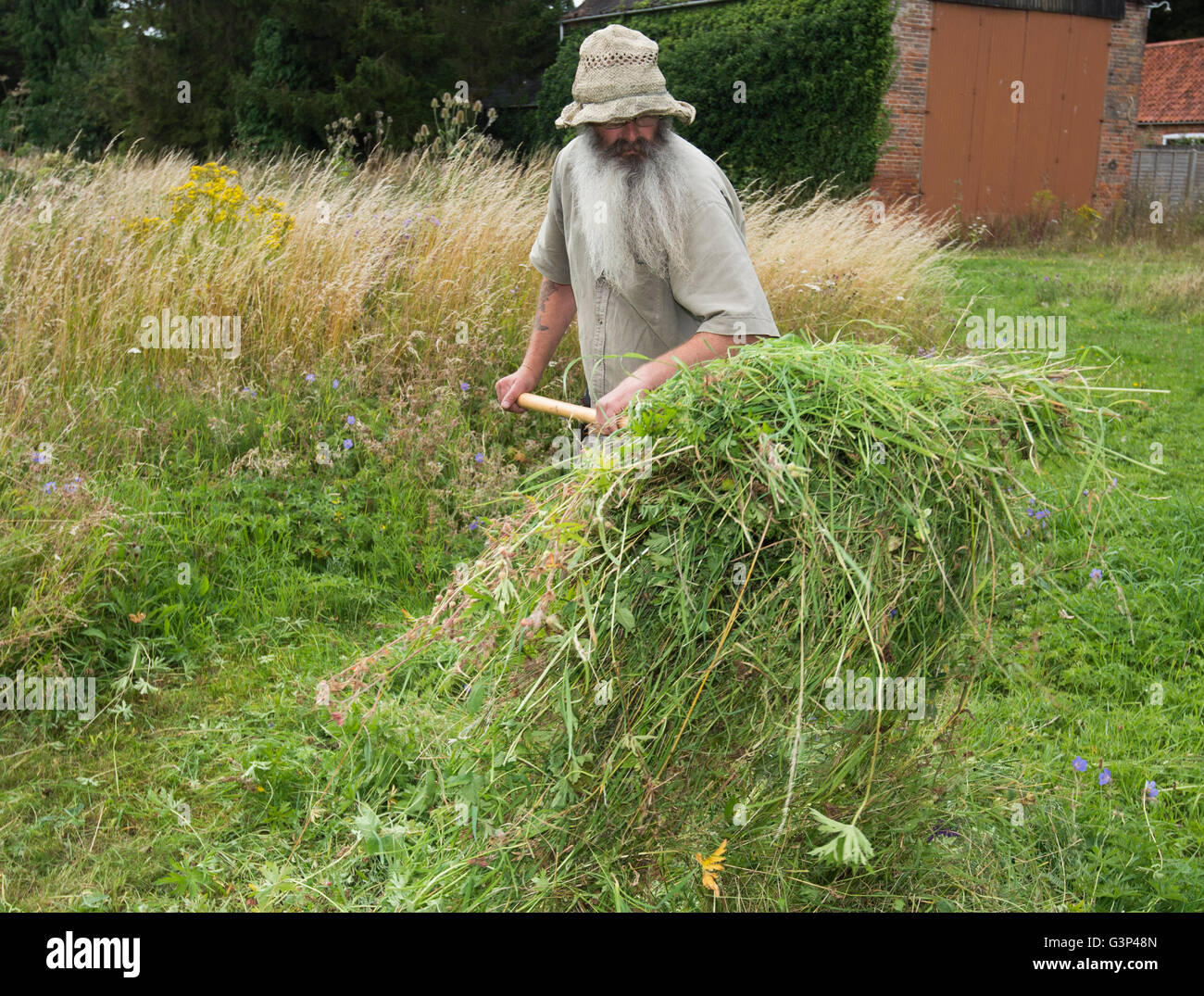 An Englishman scything a field in the Norfolk countryside England Stock ...