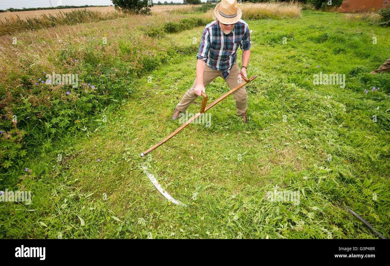 An Englishman scything a field in the Norfolk countryside England Stock ...