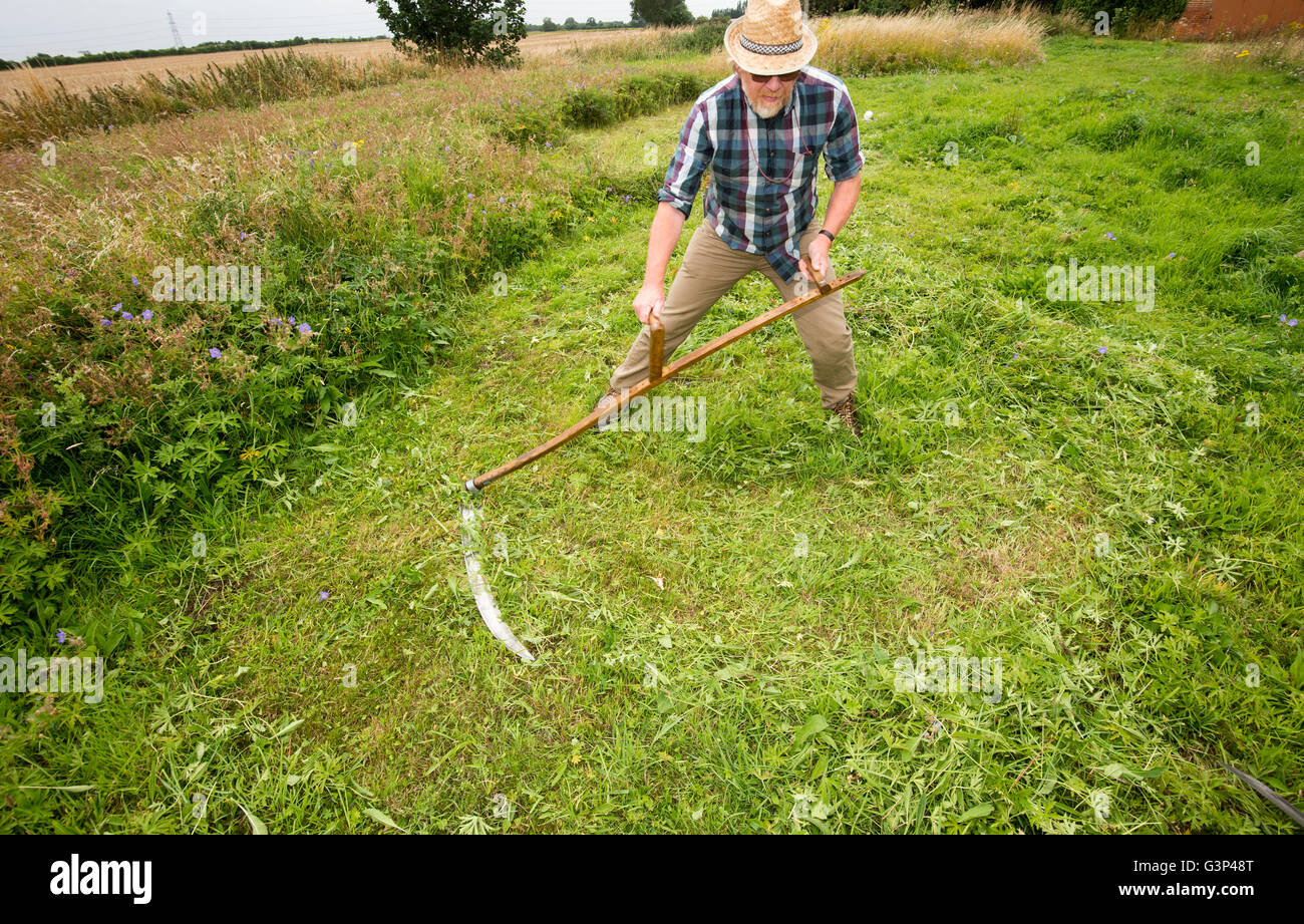 Harvest scythe england hi-res stock photography and images - Alamy