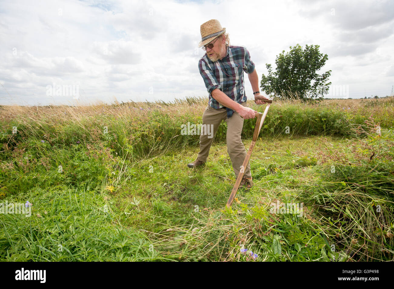 Historical harvesting with scythe hi-res stock photography and images ...
