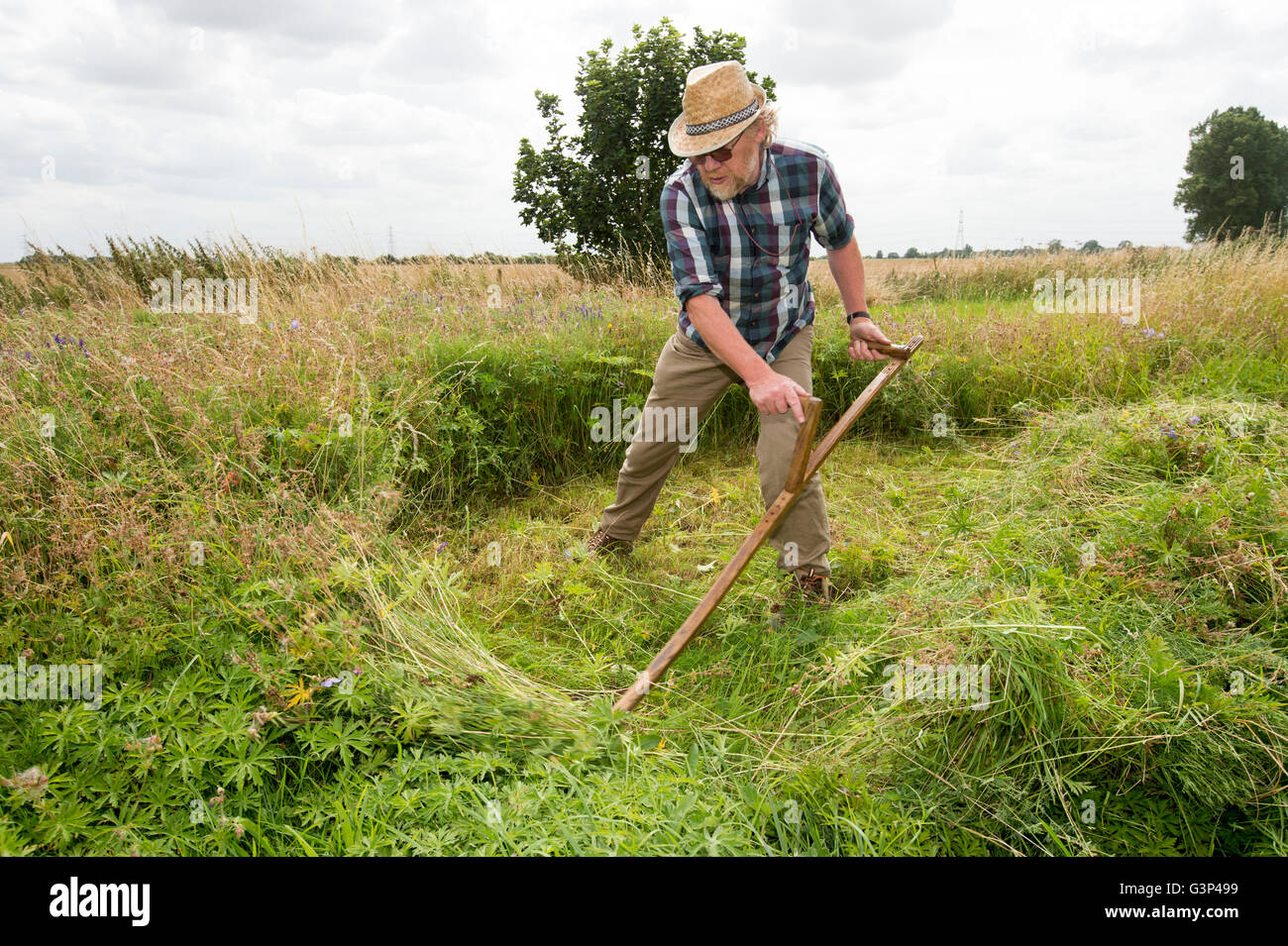 Scything long grass hi-res stock photography and images - Alamy