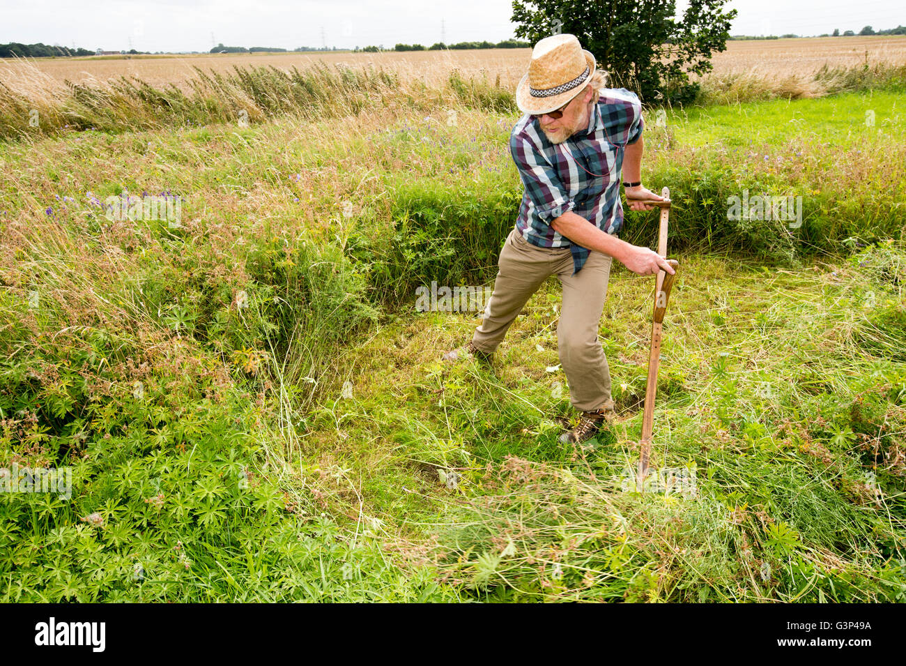 Historical harvesting with scythe hi-res stock photography and images ...