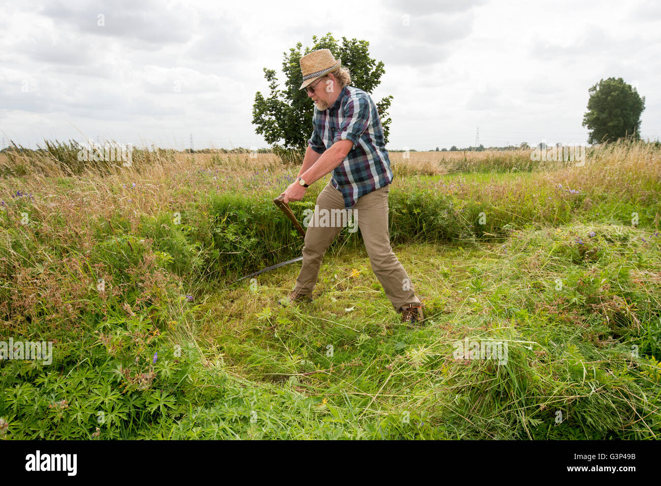 Scything long grass hi-res stock photography and images - Alamy