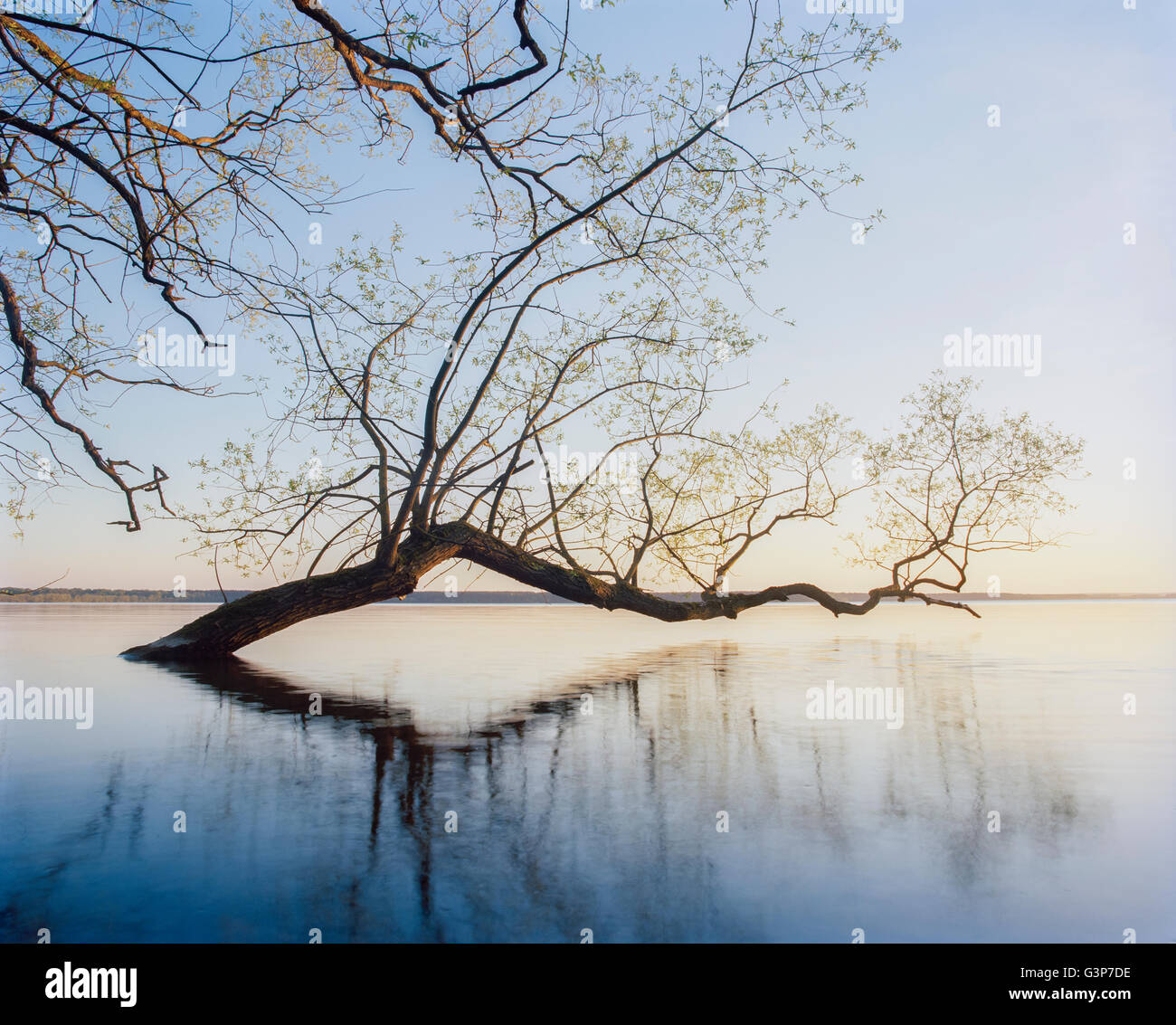 Skane sweden lake hi-res stock photography and images - Alamy
